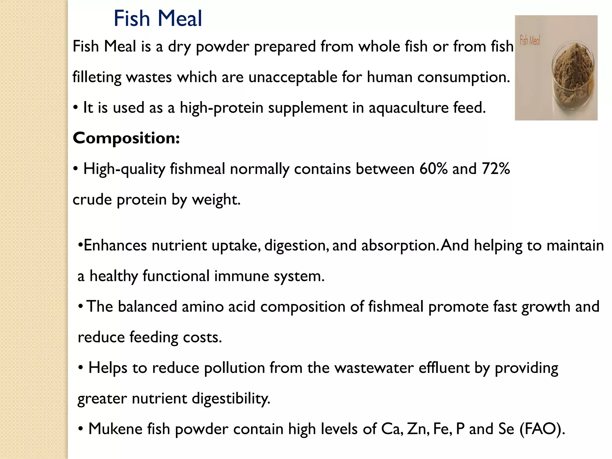 Fish food processing indu | PDF | Fish and Aquariums | Pets