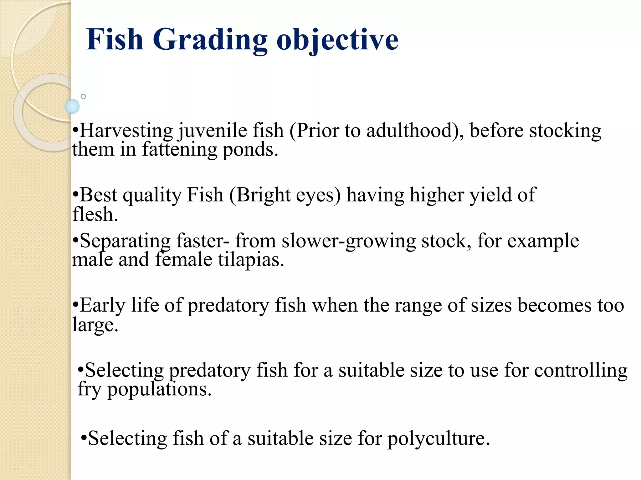 Fish food processing indu | PDF