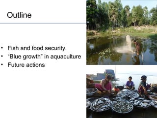 Fish and food security: securing blue growth of aquaculture | PPT