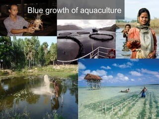Fish and food security: securing blue growth of aquaculture | PPT