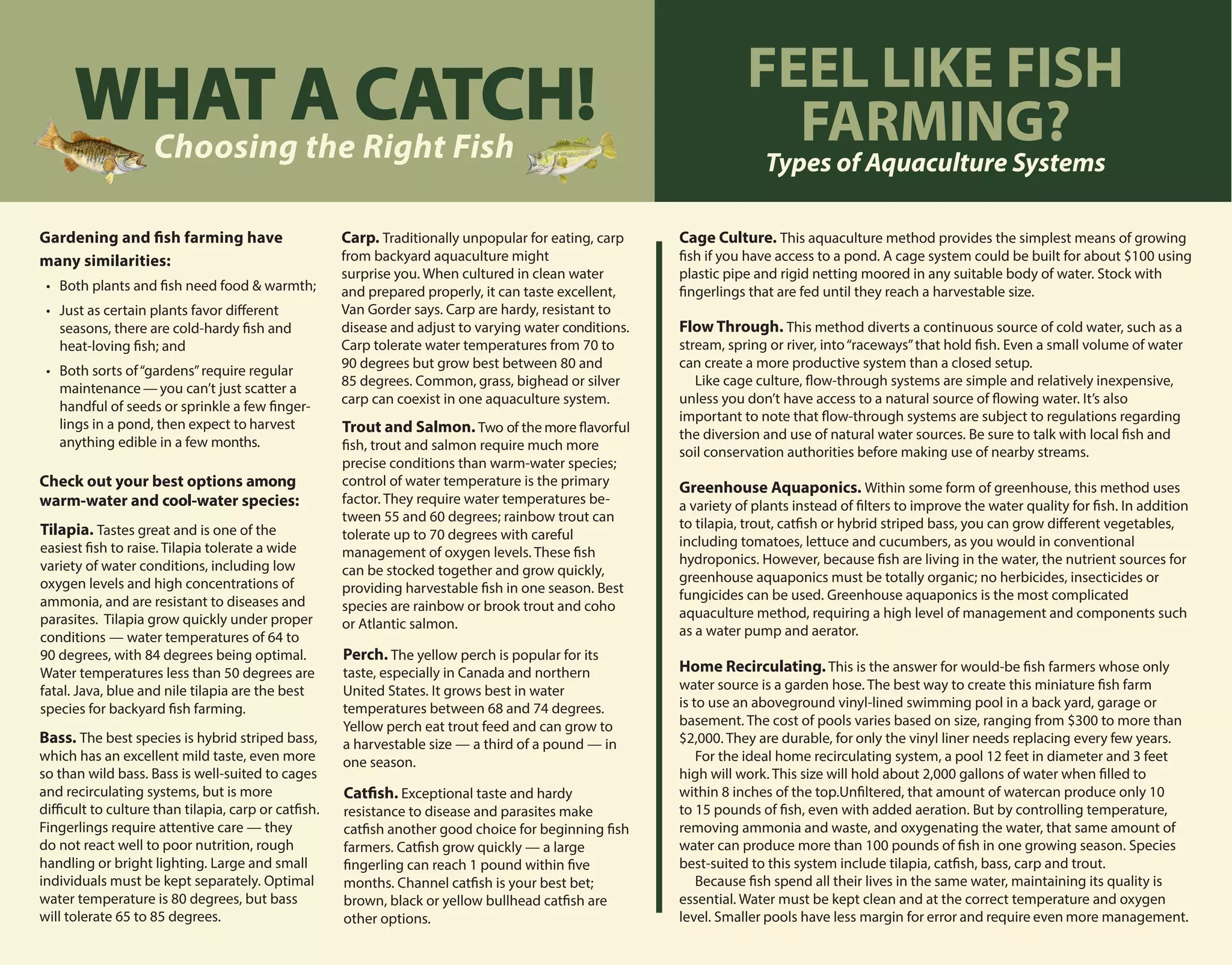 Fish Forever Brochure | PPT