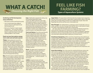 Fish Forever Brochure | PPT