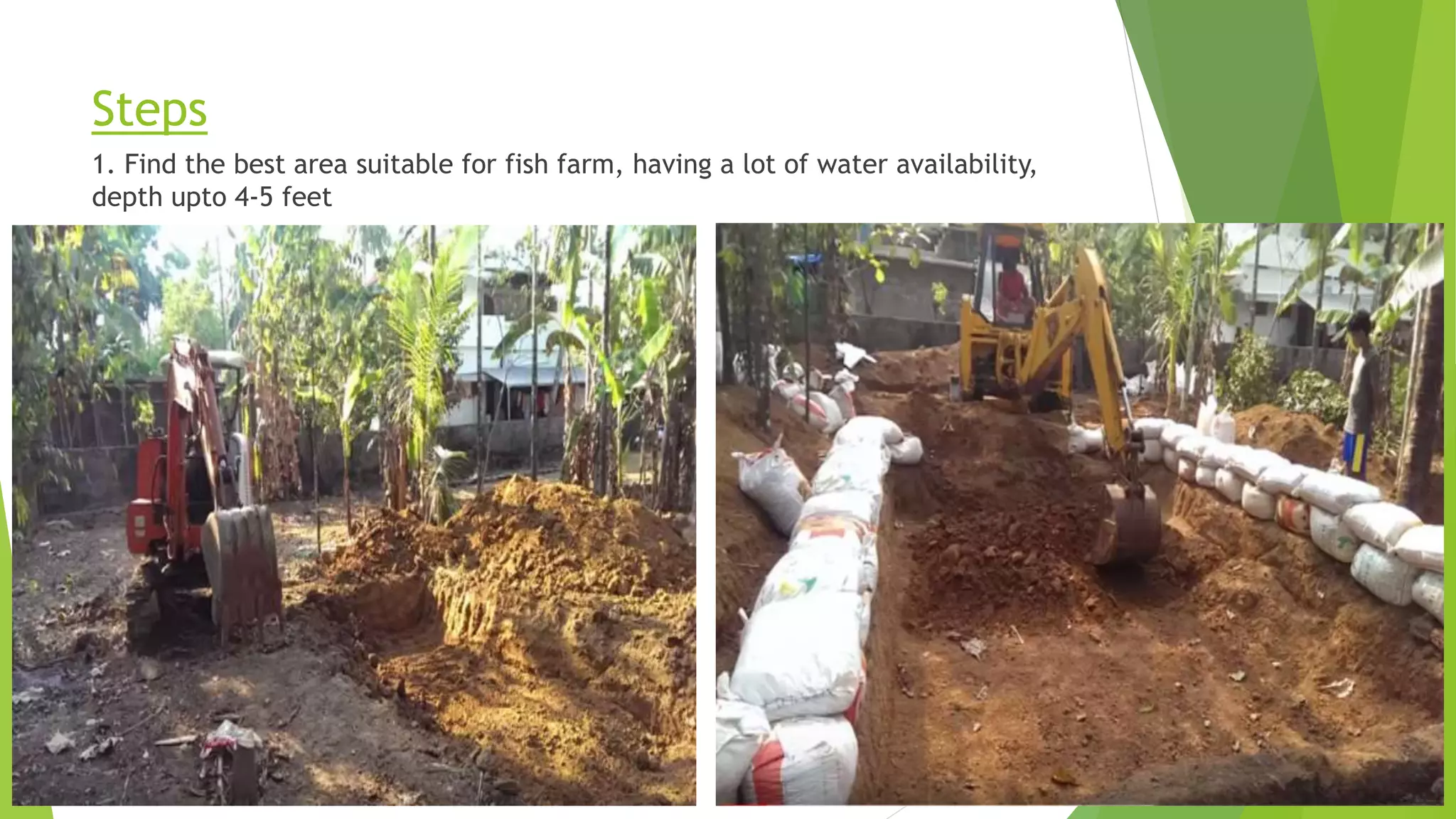 Fish framing business plan | PPTX