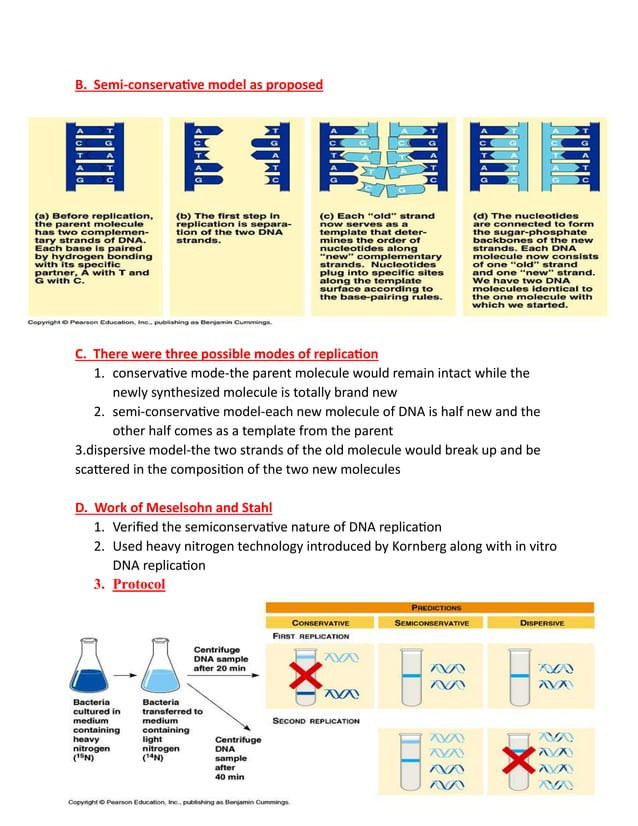 FISH GENETICS AND BREEDING NOgdgTES.docx