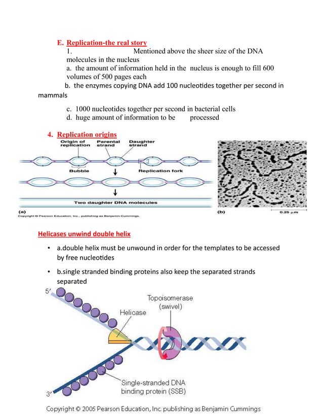 FISH GENETICS AND BREEDING NOgdgTES.docx