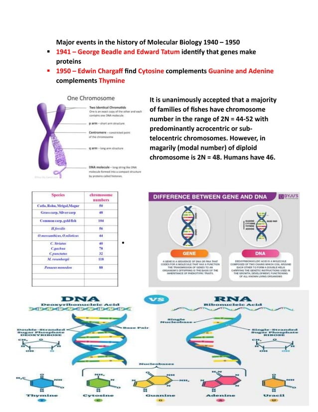FISH GENETICS AND BREEDING NOgdgTES.docx