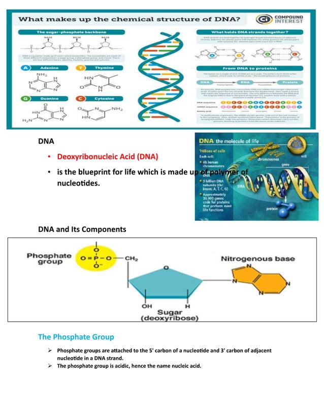 FISH GENETICS AND BREEDING NOgdgTES.docx
