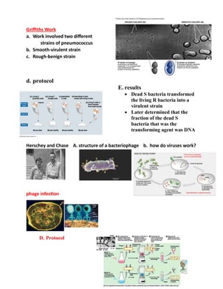 FISH GENETICS AND BREEDING NOgdgTES.docx