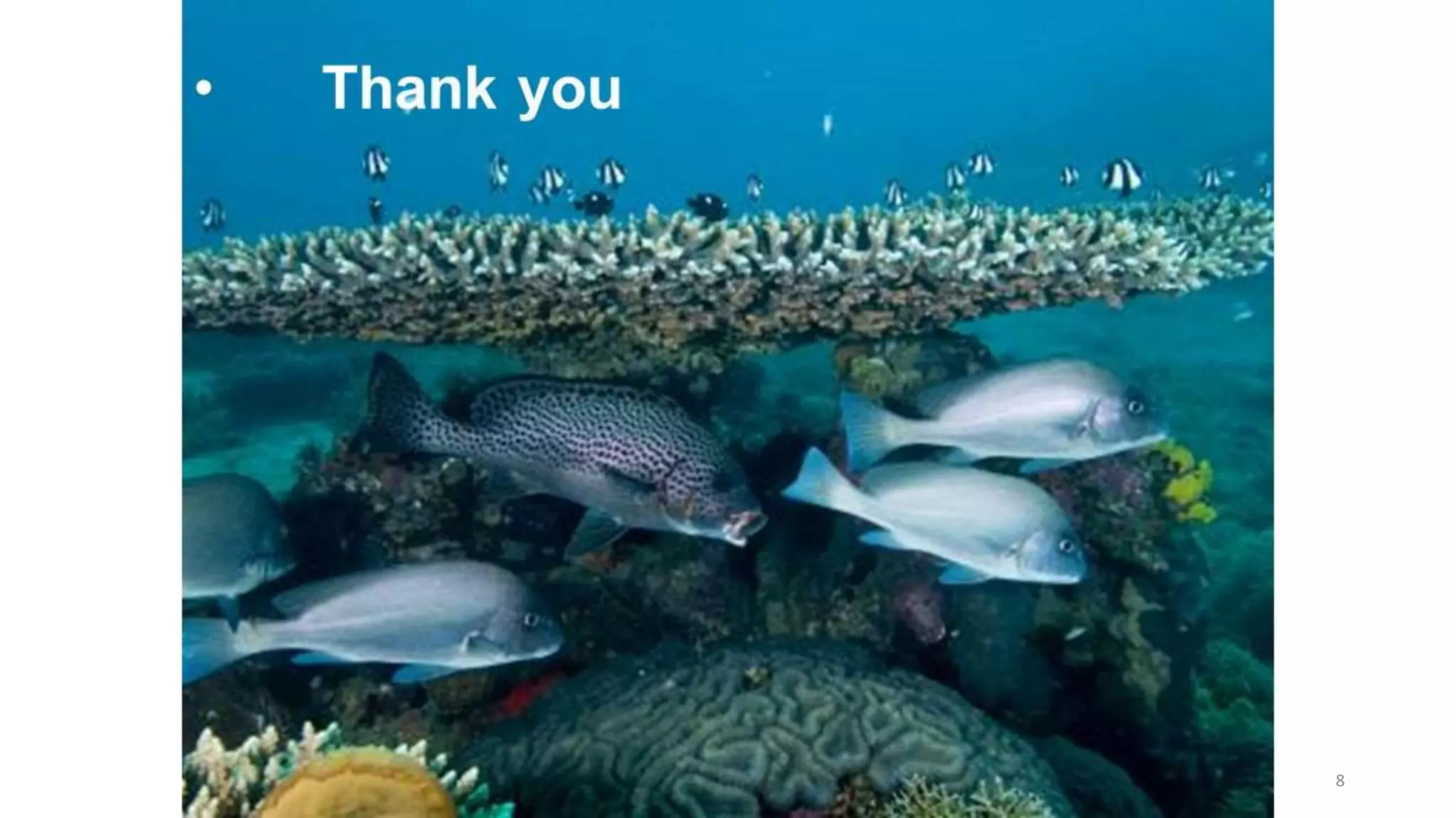 Fish gill..how fish breathe in water | PPTX