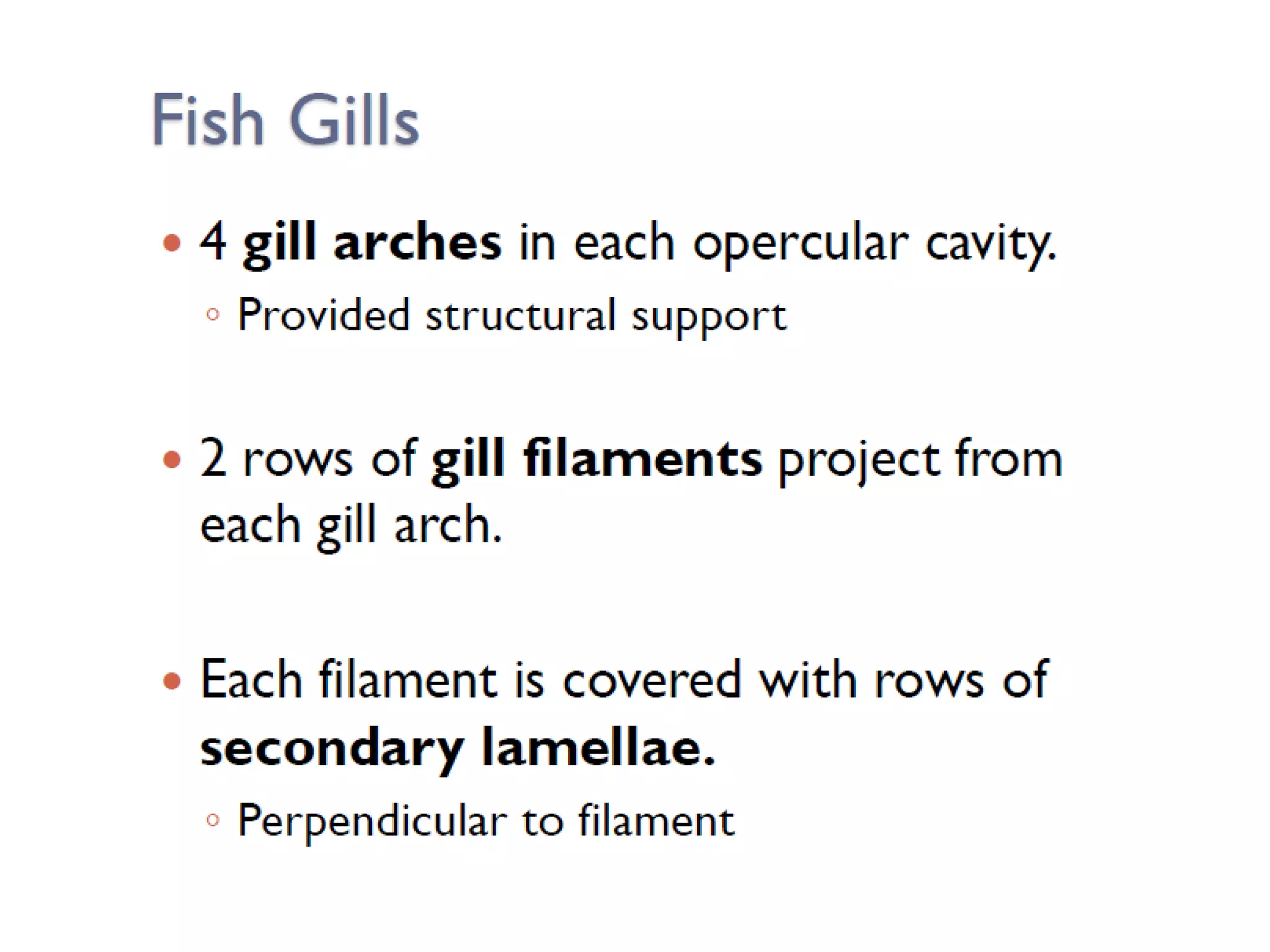 Fish_Gill.pptx