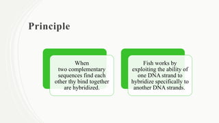 FISH (Group 06).pptx
