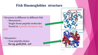 Fish haemoglobin | PPTX