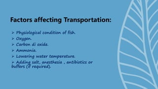 Fish Handling | PPTX
