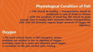 Fish Handling | PPTX