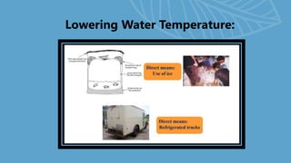 Fish Handling | PPTX