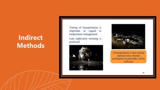 Fish Handling | PPTX