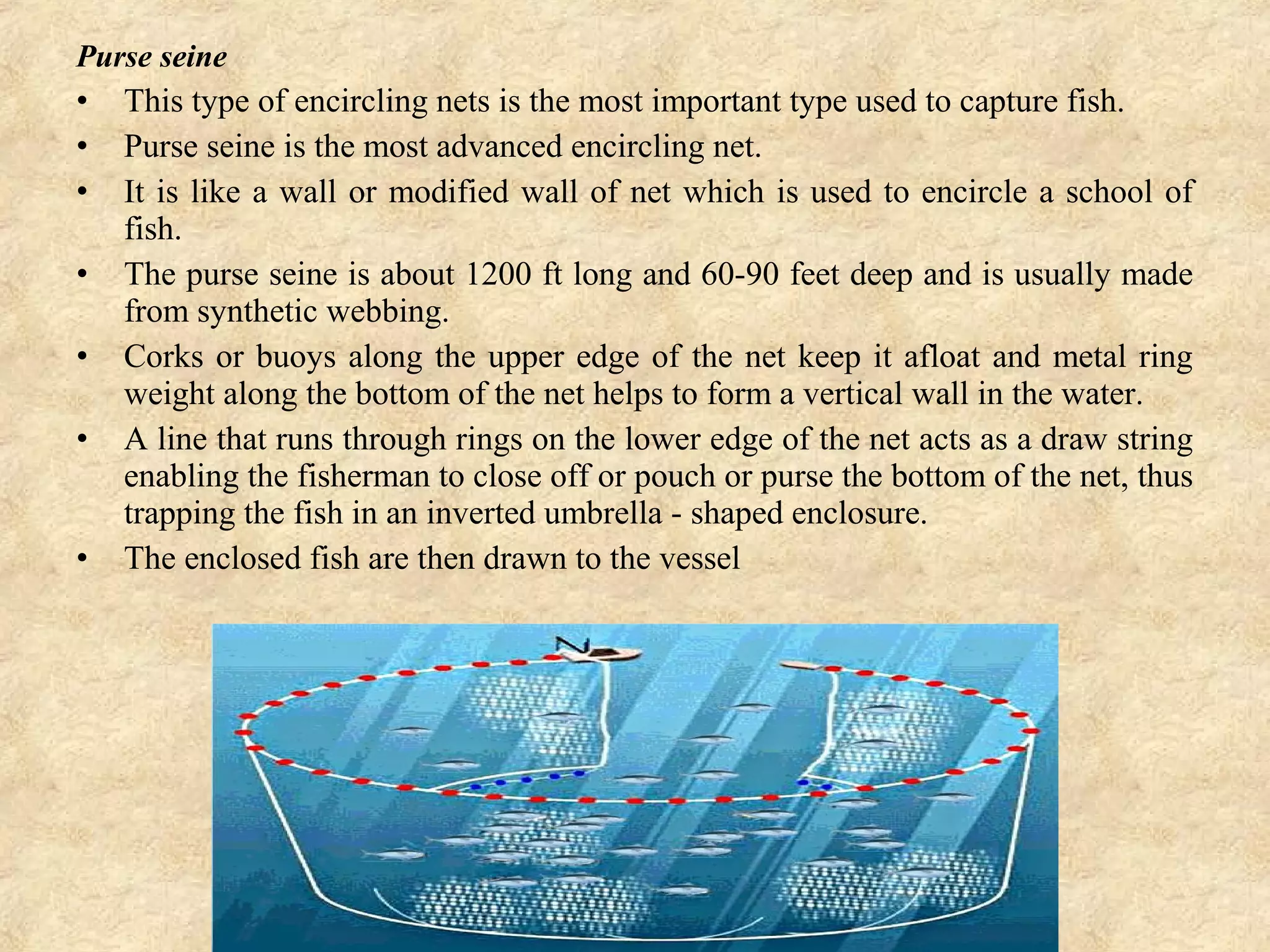FISH HARVESTING | PPT