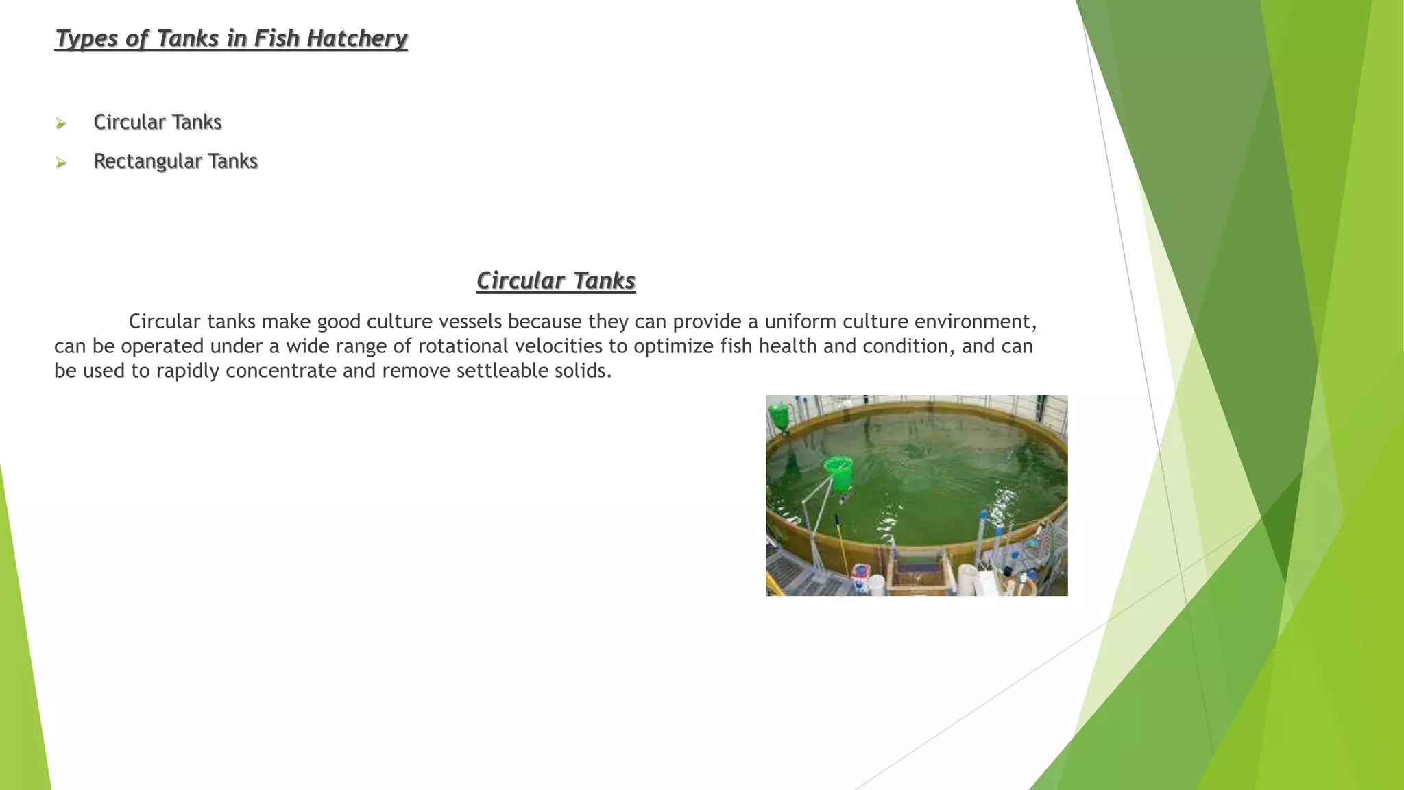 fish hatchery | PPTX