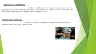 fish hatchery | PPTX