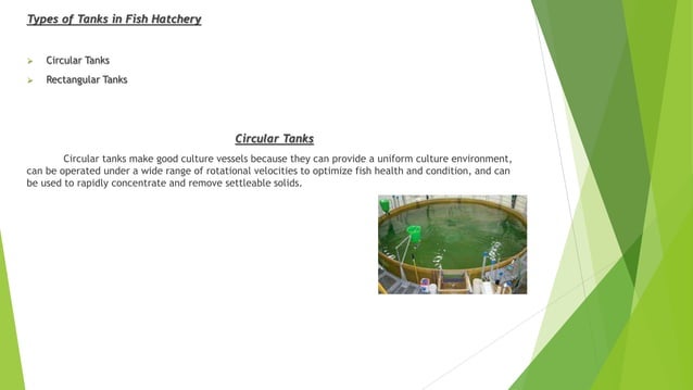fish hatchery | PPTX