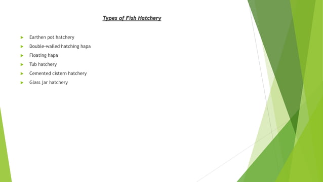 fish hatchery | PPTX