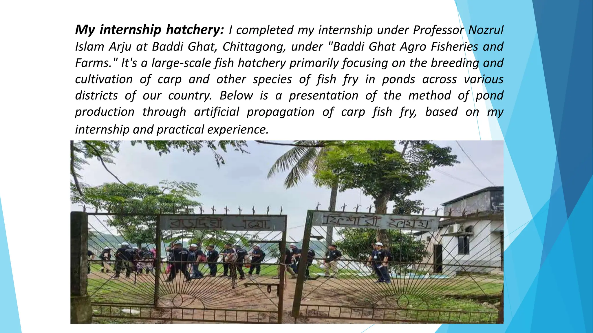 Fish hatchery Presentation template.pptx