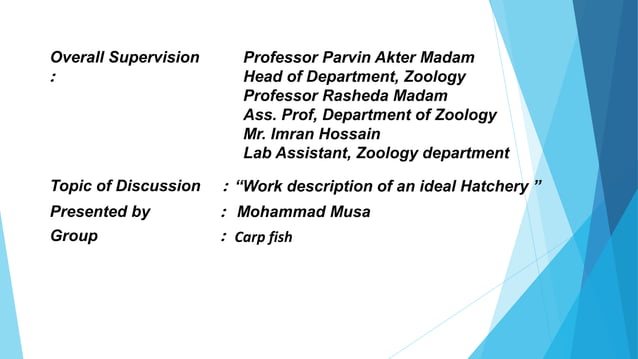 Fish hatchery Presentation template.pptx