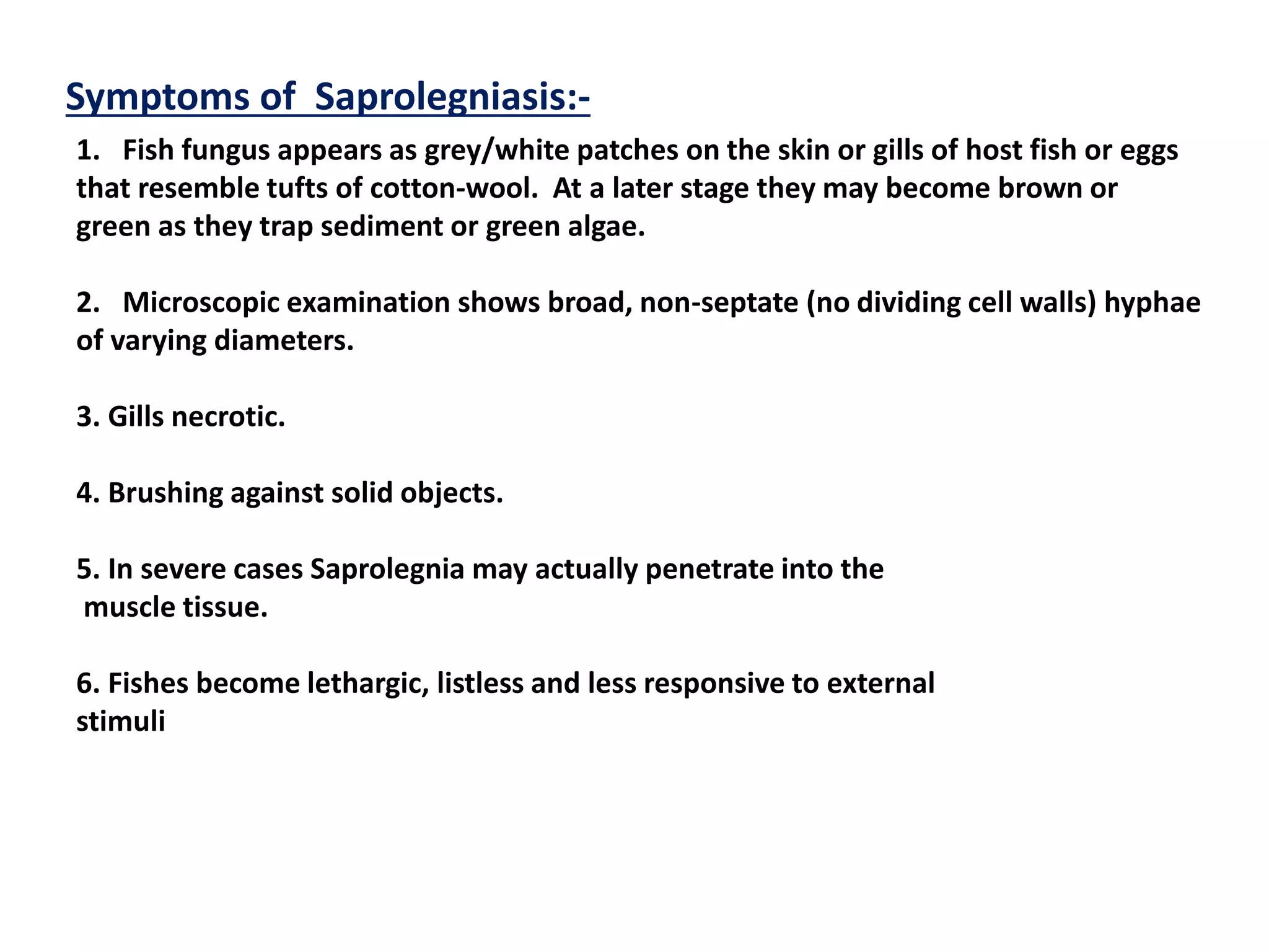 Fish Health Management with Farmers Perspective | PPTX