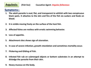 Fish Health Management with Farmers Perspective | PPT