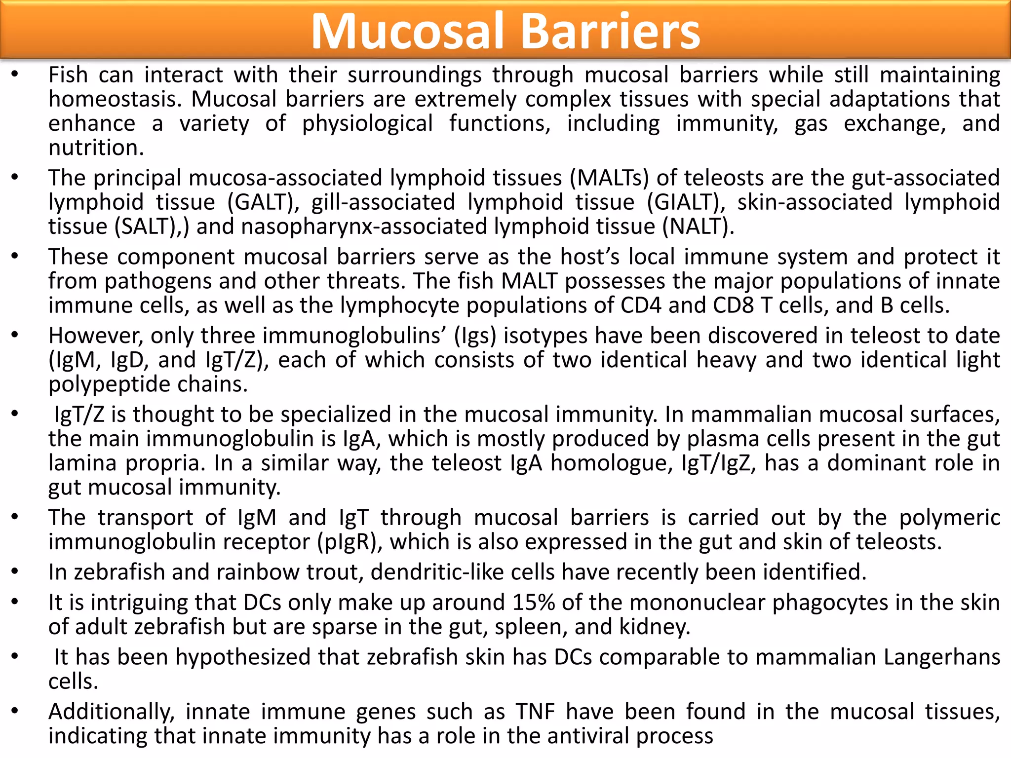 Fish immune system in improving health and aquaculture production.pptx
