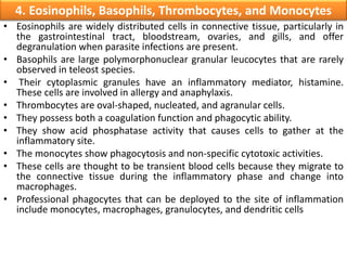 Fish immune system in improving health and aquaculture production.pptx ...