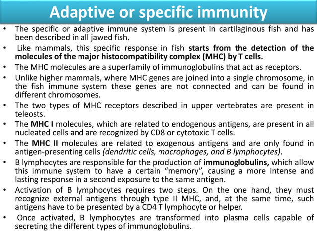 Fish immune system in improving health and aquaculture production.pptx ...