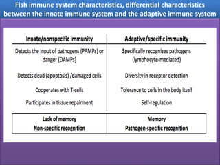 Fish immune system in improving health and aquaculture production.pptx ...
