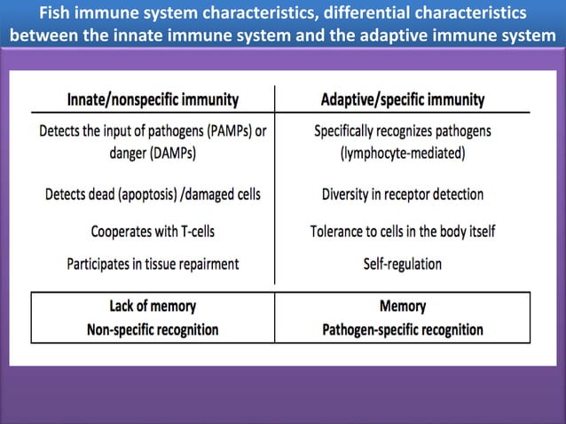 Fish immune system in improving health and aquaculture production.pptx ...