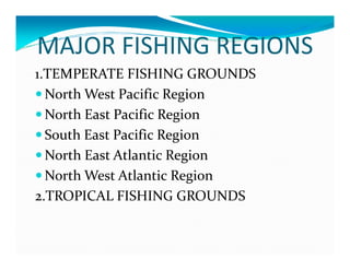 Fishing | PDF