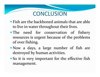 Fishing | PDF