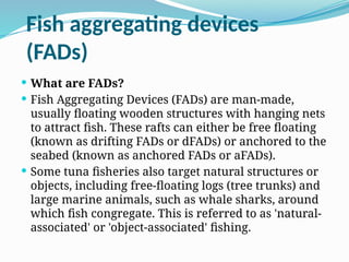 FISHING-METHODS-AND-GEARS.vacational pptx | PPTX