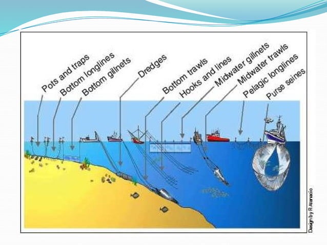 FISHING-METHODS-AND-GEARS.vacational pptx | PPTX