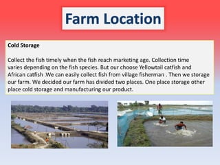 Fishing company | PPTX