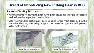 Fishing Crafts and Gears.pptx