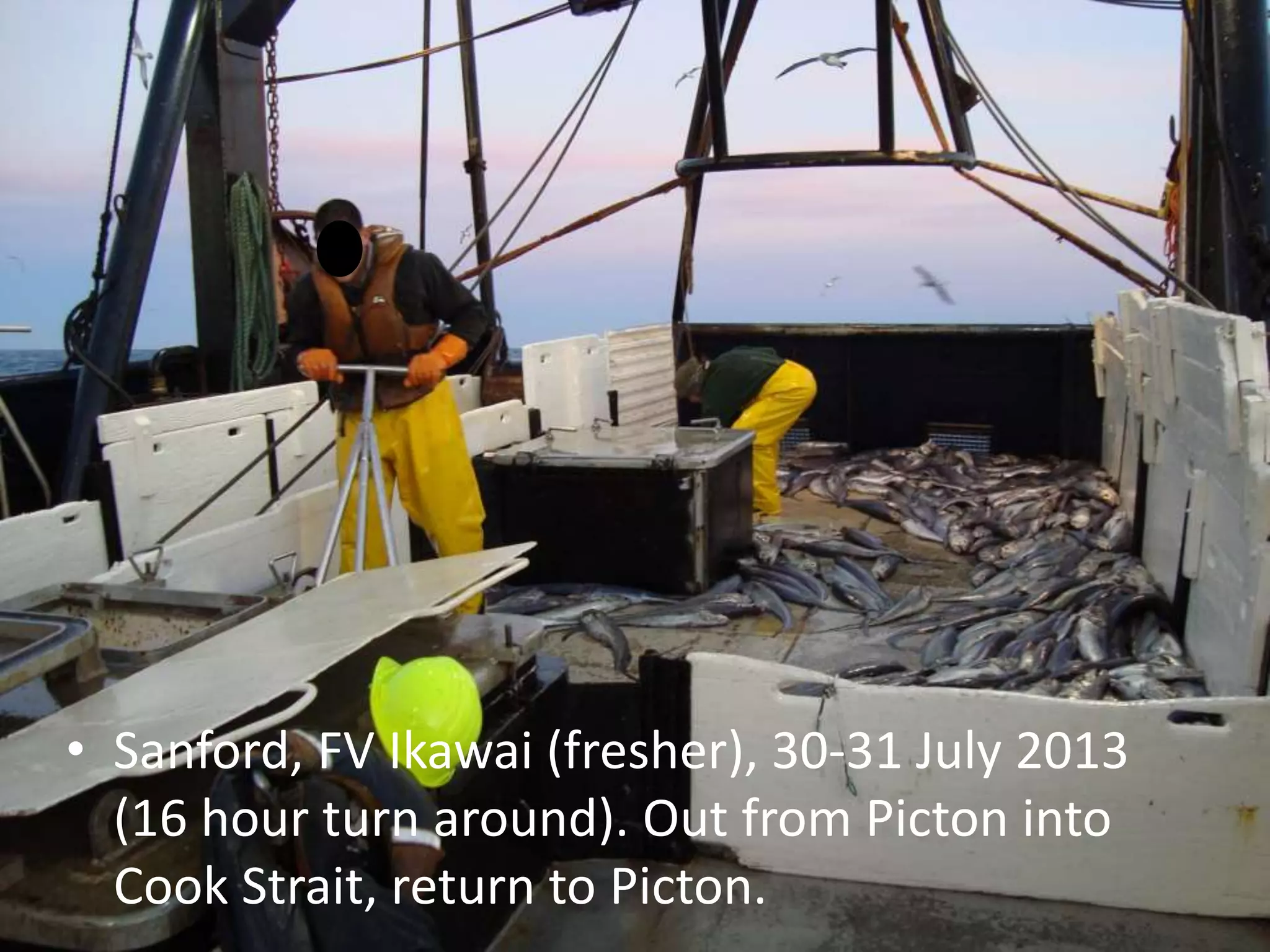 Fishing for information - an ergonomics scoping assessment | PPTX