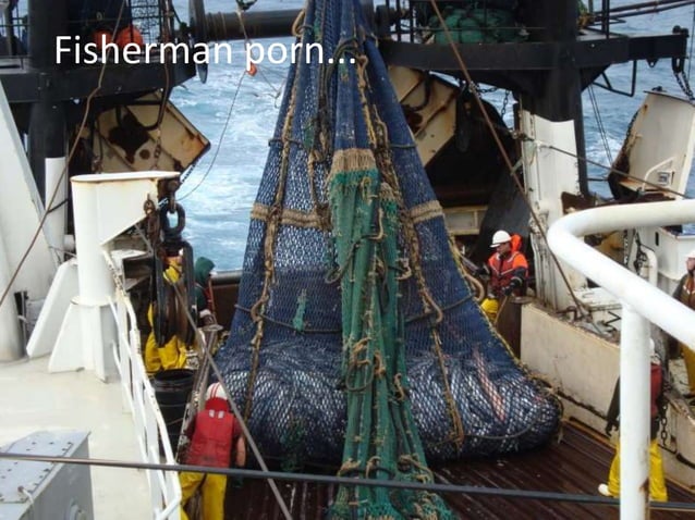 Fishing for information - an ergonomics scoping assessment | PPTX