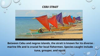 fishing ground in the Philippines and fishing gear | PPTX