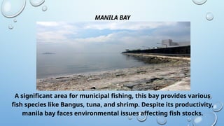 fishing ground in the Philippines and fishing gear | PPTX