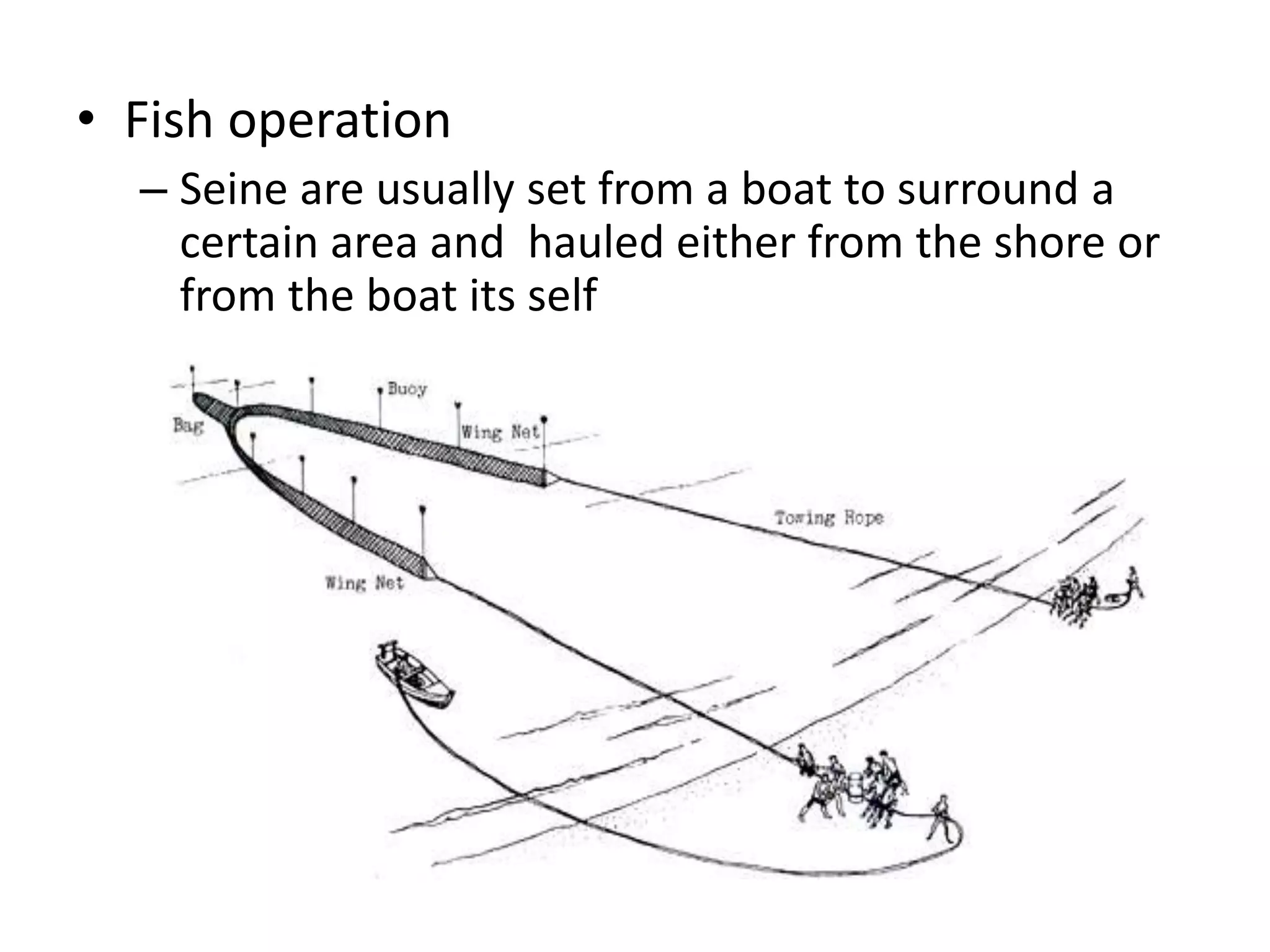 Fishing gears | PPTX