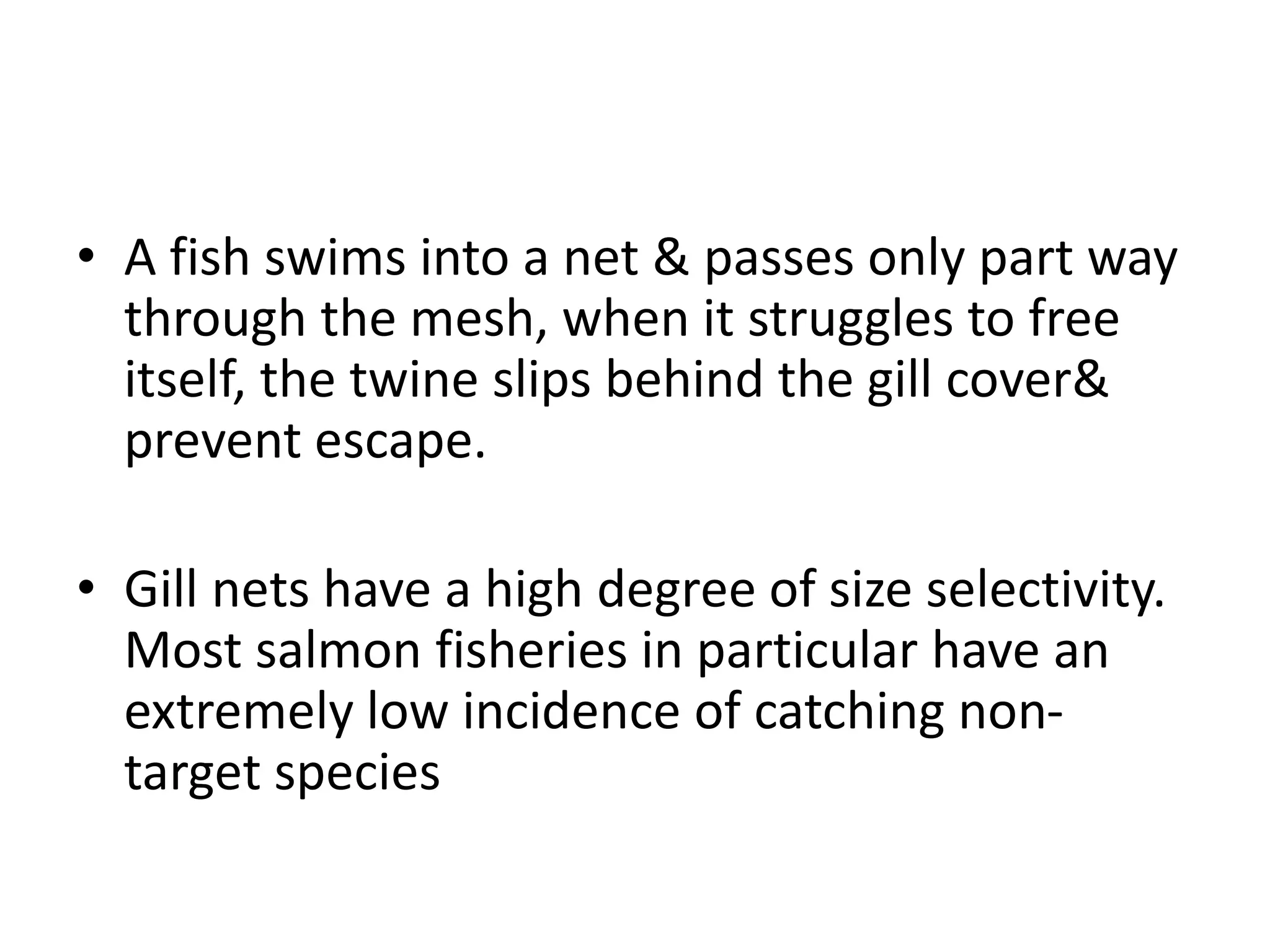 Fishing gears | PPTX