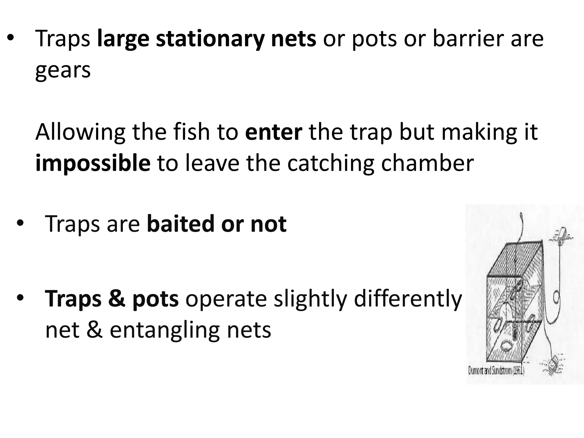 Fishing gears | PPTX