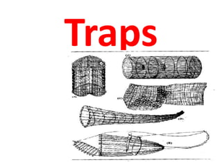 Types of fishing gear store