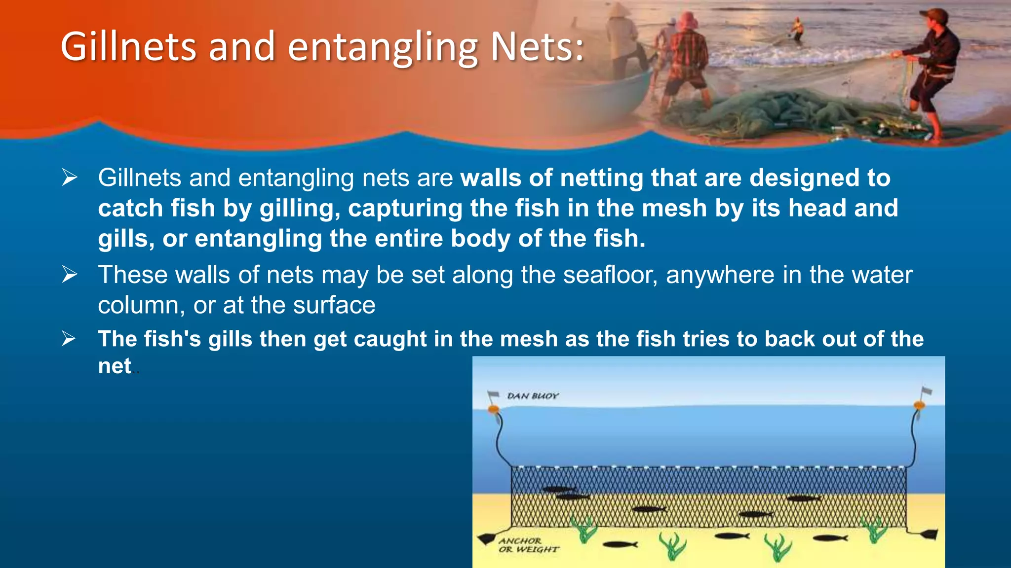 Fishing Gears and Fishing Methods | PPTX