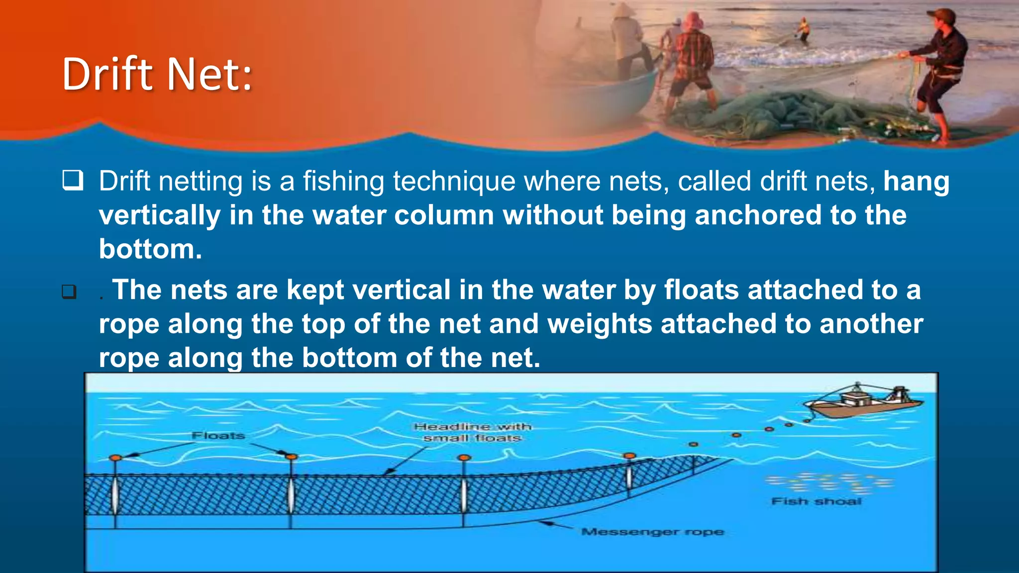 Fishing Gears and Fishing Methods | PPTX